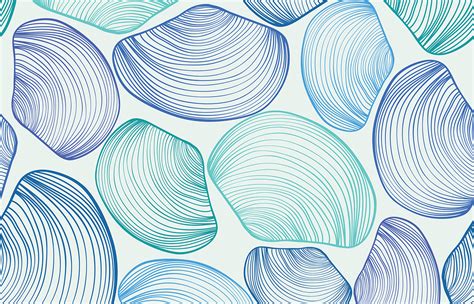 Clamshell Money The Reading Room