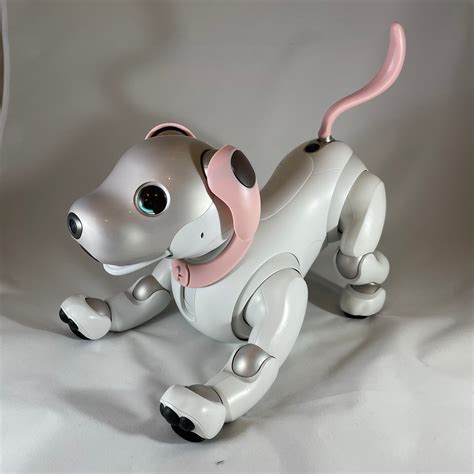 Aibo Ers 1000 Form Fitting Silicone Tag Collar Aibo Accessories