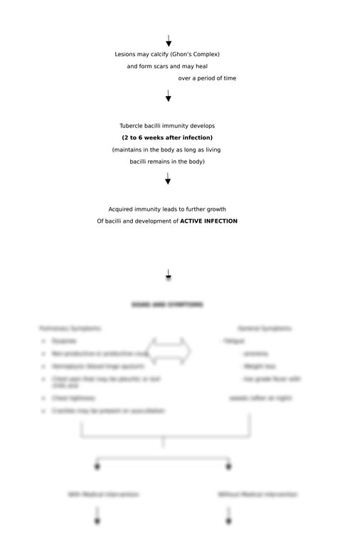 Solution Tuberculosis Pathophysiology Tuberculosis Pathophysiology
