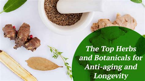 The Top Herbs And Botanicals For Anti Aging And Longevity