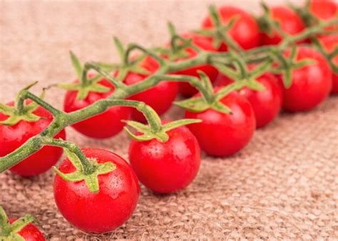 Premium Photo Cherry Tomatoes