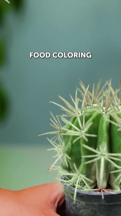 Kcloud Llc On Linkedin Like Comment Share Growyourskill Enhance