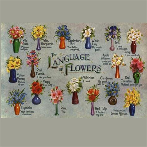 Enola Holmes Y El Lenguaje De Las Flores Botanique Déco