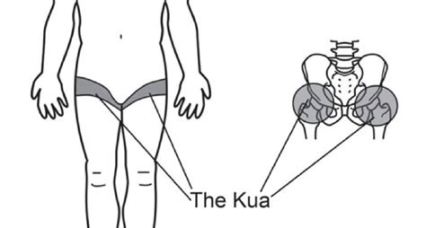 Aligner Le Corps Cours De Tai Chi De Style Yang