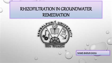 Rhizofiltration In Groundwater Remediationpptx