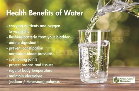 Drinking Water Helps Eyesight At Daryl Hudson Blog