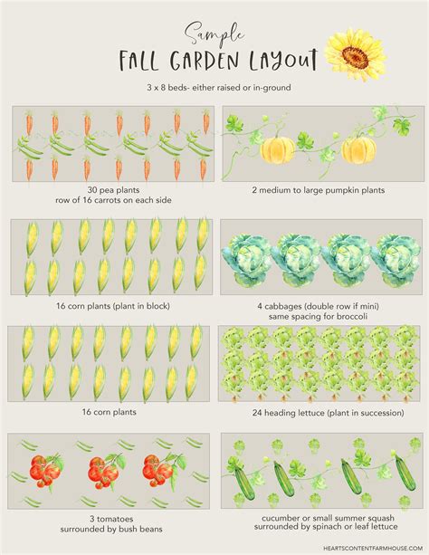 Fall Vegetable Garden Plans