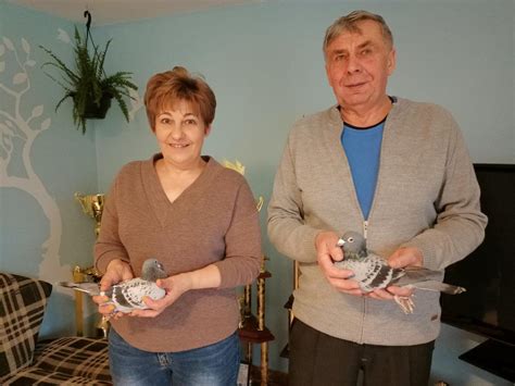 Pawłowski Ryszard Profesjonalny Portal Aukcyjny Gołębi Pocztowych Gołębie Od Mistrzów Polski