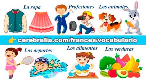 🥇【 Aprende Vocabulario En FrancÉs 】 ️