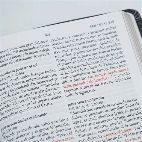 Rv60 Biblia Letra Grande TamaÑo Manual Negro Libros Cristianos Gt