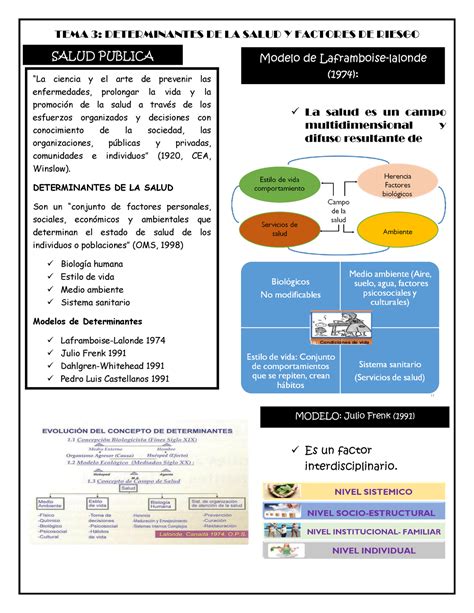 Determinantes De La Salud Y Factores De Riesgo Tema 3 Determinantes