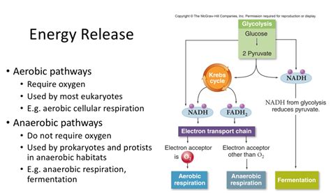 Apple Preview How To Decompile A Picture In Pdf Graphic Design