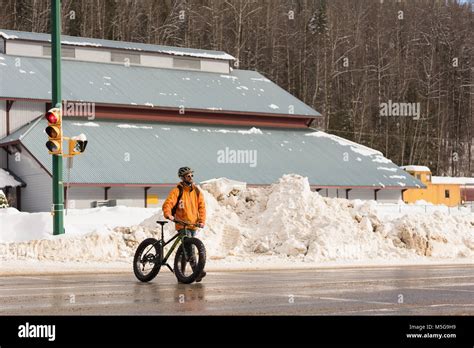Man Walking With His Cycle On Street Stock Photo Alamy