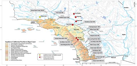 Frontiers Impacts Of A Non Indigenous Ecosystem Engineer The