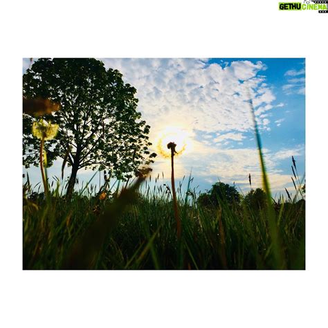 Perdita Weeks Instagram Primavera Gethu Cinema