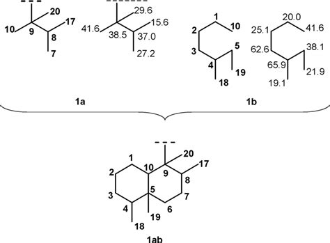 Some Structural Fragments Of 1 Download Scientific Diagram