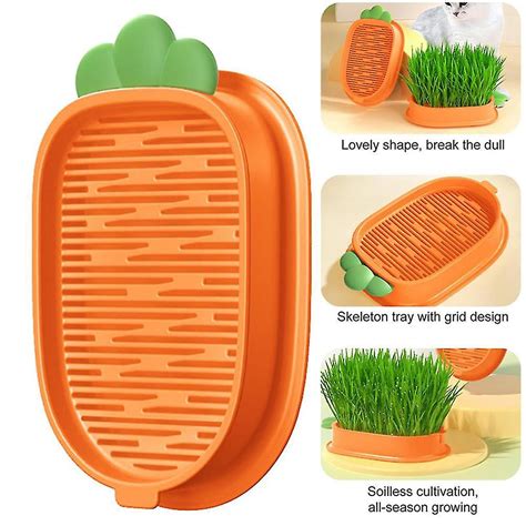 Hollow Out Catgrass Planter Box Layered Cat Grass Growing Sprouting