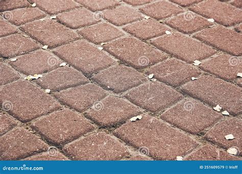 Street Red Rounded Paving Slabs Texture And Background Stock Image