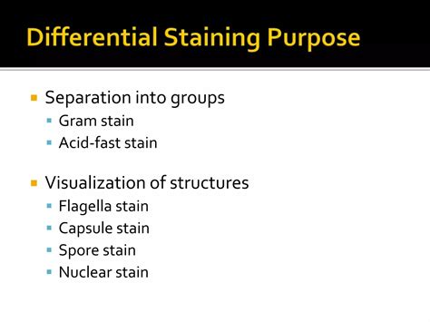 Staining Importance Of Staining What Is Stain Types Of Stain On The