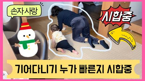 ‼️토끼와 거부기 우리집에오면 할머니와 밤톨이 대결‼️ Youtube