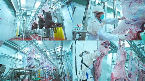 肉类加工厂牛肉加工视频素材下载
