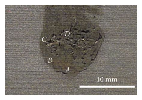 Om Image Of The Head Of 93w Alloy Residual Projectile Download Scientific Diagram
