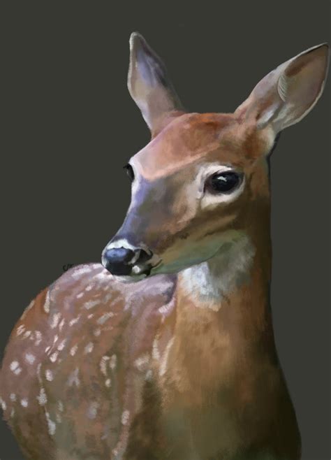 Deer By Carolinenicoleart On Deviantart