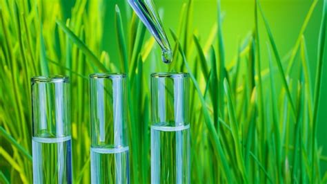 The Importance Of Functional Blood Testing In Heart Disease