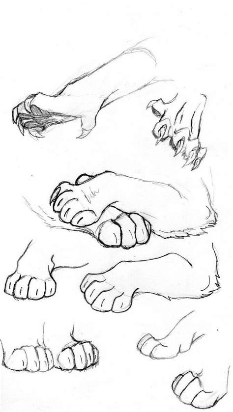 Учиться не поздно How To Draw Cat Claws Feline Paw Reference Cat