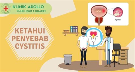 Cystitis Disebabkan Oleh Ini Dia Masalahnya Klinik Apollo Jakarta