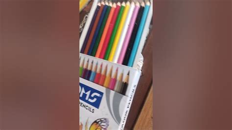 Colour Pencil Capcicum Drawing Youtube