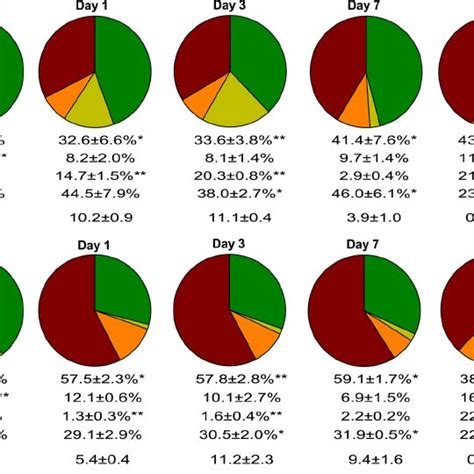 Total Dntp Pool In Embryonic And Neonatal Pup Heart Tissue Dntp Download Scientific Diagram