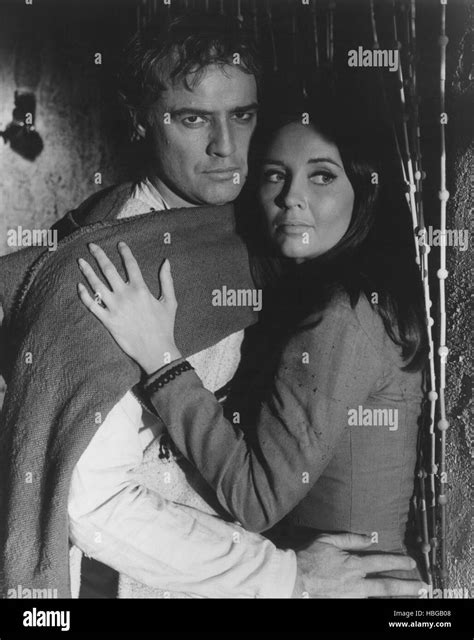 The Appaloosa From Left Marlon Brando Anjanette Comer 1966 Stock