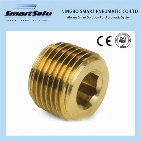Sae Standard 1 8 1 4 3 8 Thread Size Npt Male Brass Pipe Fitting Brass Hex Socket Plug Hex