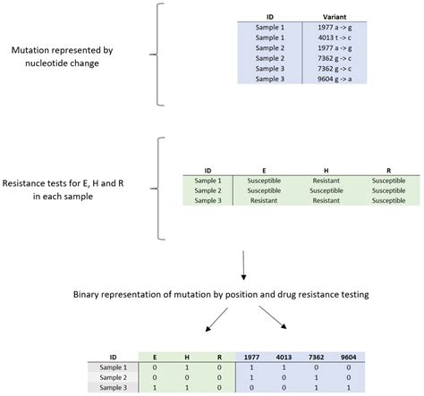Predicting Drug Resistance In Mycobacterium Tuberculosis A Machine Learning Approach To Genomic