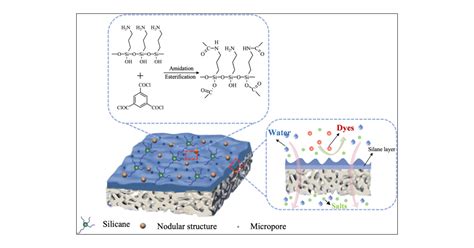 Surface Modification Of A Thin Film Composite Tfc Nanofiltration Membrane With 3