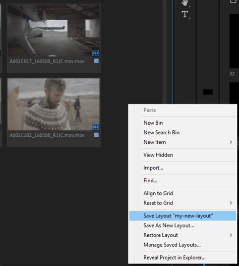 Working In The Project Panel In Premiere Pro