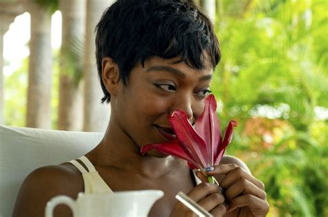 Trepni Dvaput Kino Valli