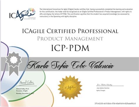 Agilecoach Businessmastery Karla Sofía Cobo Valencia 19 Comentarios