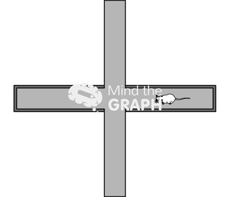 Free Elevated Plus Maze Overhead Superior Icons Symbols Pictures And Images Mind The Graph