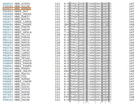 Sequence Alignments Of Beta Globin Gene Across Different Species Using