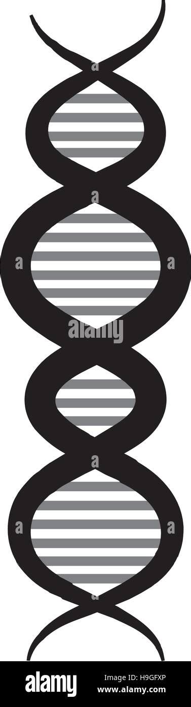 Molecular Structure Of Dna Vector Illustration Design Stock Vector