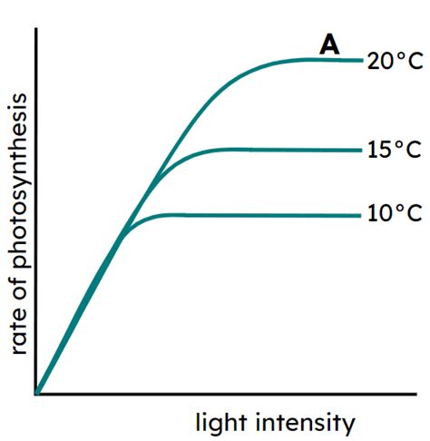 Photosynthesis And Limiting Factors Combined Science Quizalize