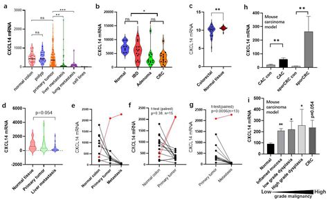 Data Mining Suggests That Cxcl14 Gene Silencing In Colon Cancer Is Due
