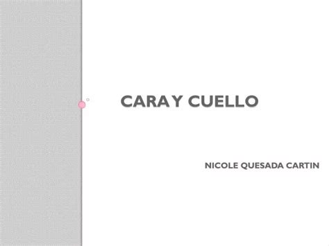 Ppt Cara Y Cuello Nicole Quesada Cartin Powerpoint Presentation Free