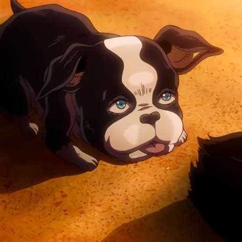 ~iggy Icon~ Jojo Bizzare Adventure Jojo Bizarre Jojos Bizarre