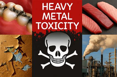 Heavy Metal Poisoning Toxicity And Human Health Effects