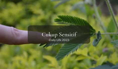 Menulis Sesuatu Yang Cukup Sensitif