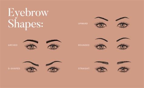 High Arched Eyebrow Shapes