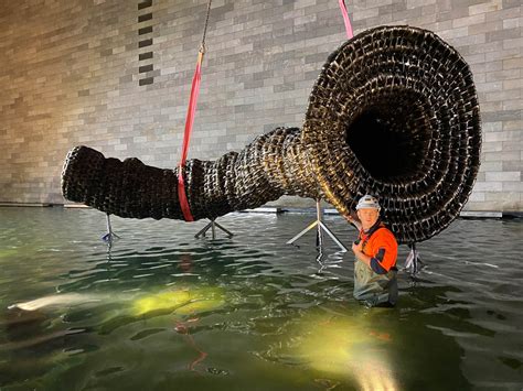 Aunty Kim Wandin Iuk Bagurrk Gunga — Sculpture Co